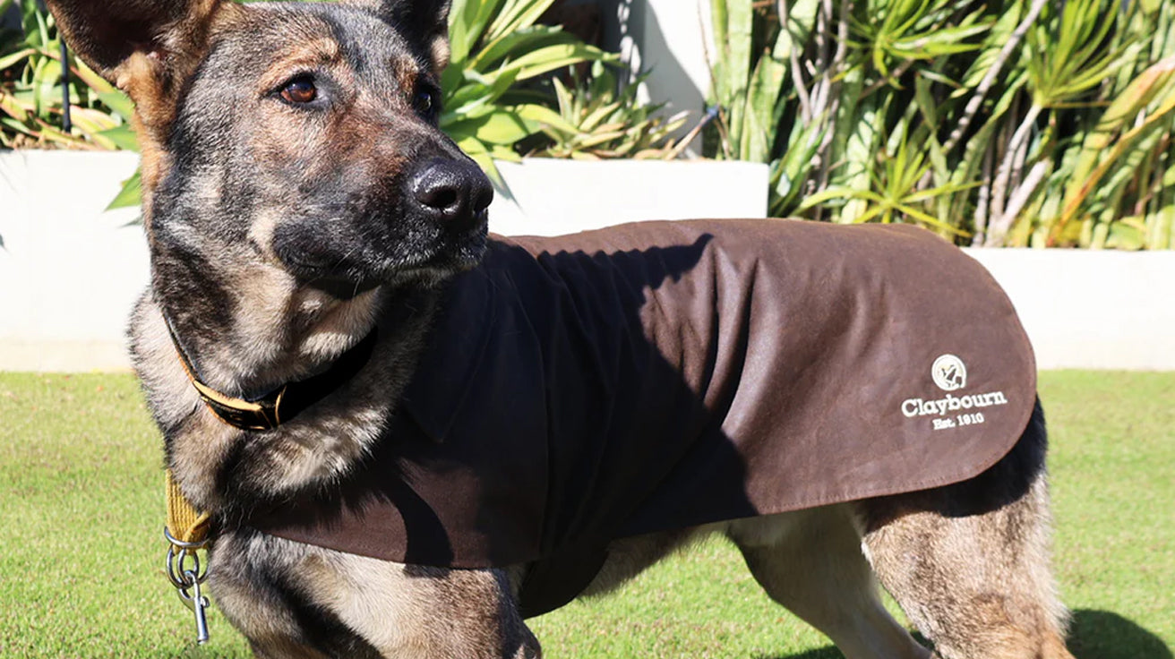 Pamper Your Pup in Style: Why the Claybourn Felix Dog Coat is the Ulti